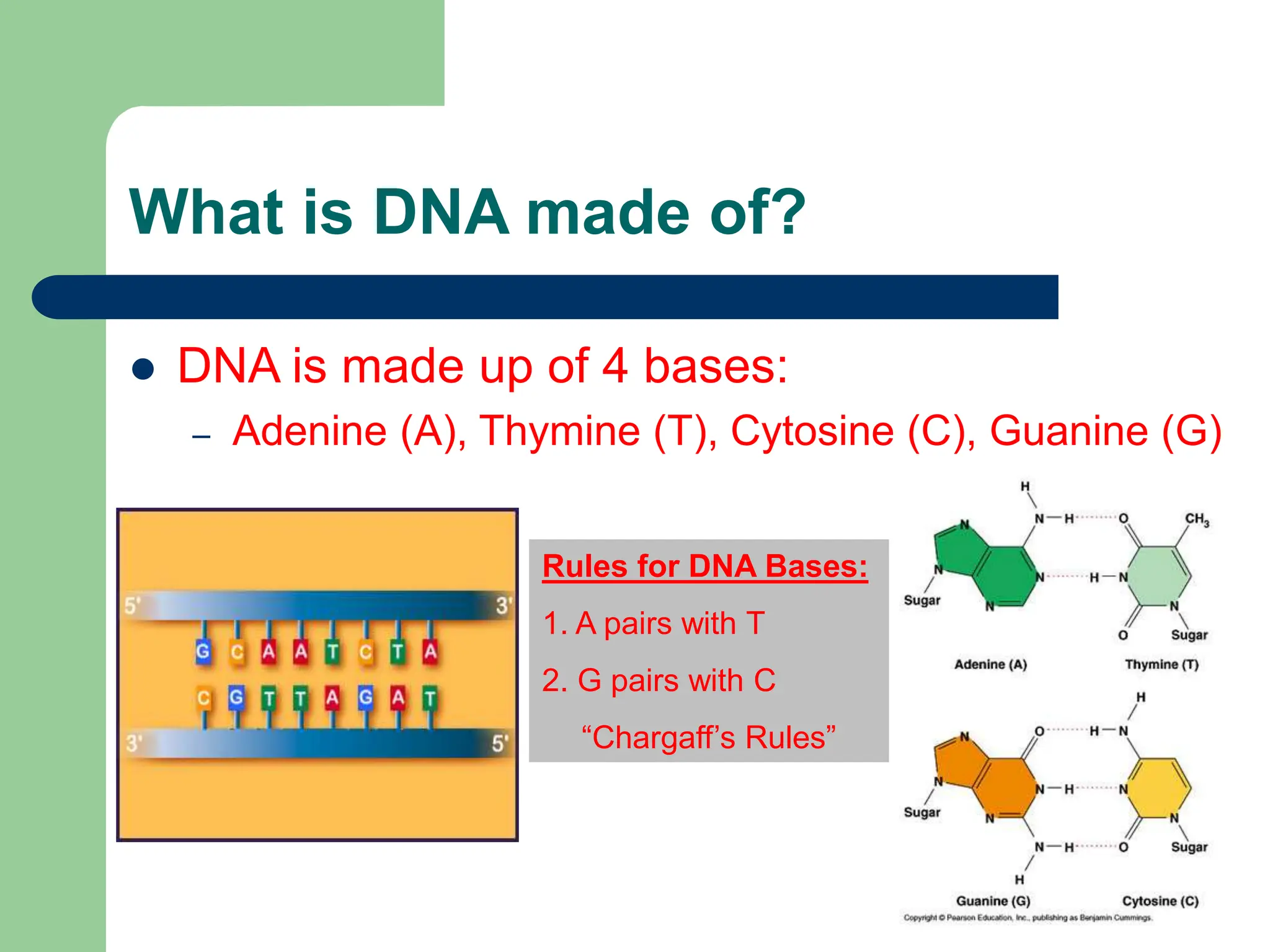 DNA and RNA: The Comparison of DNA and RNA. | PPT
