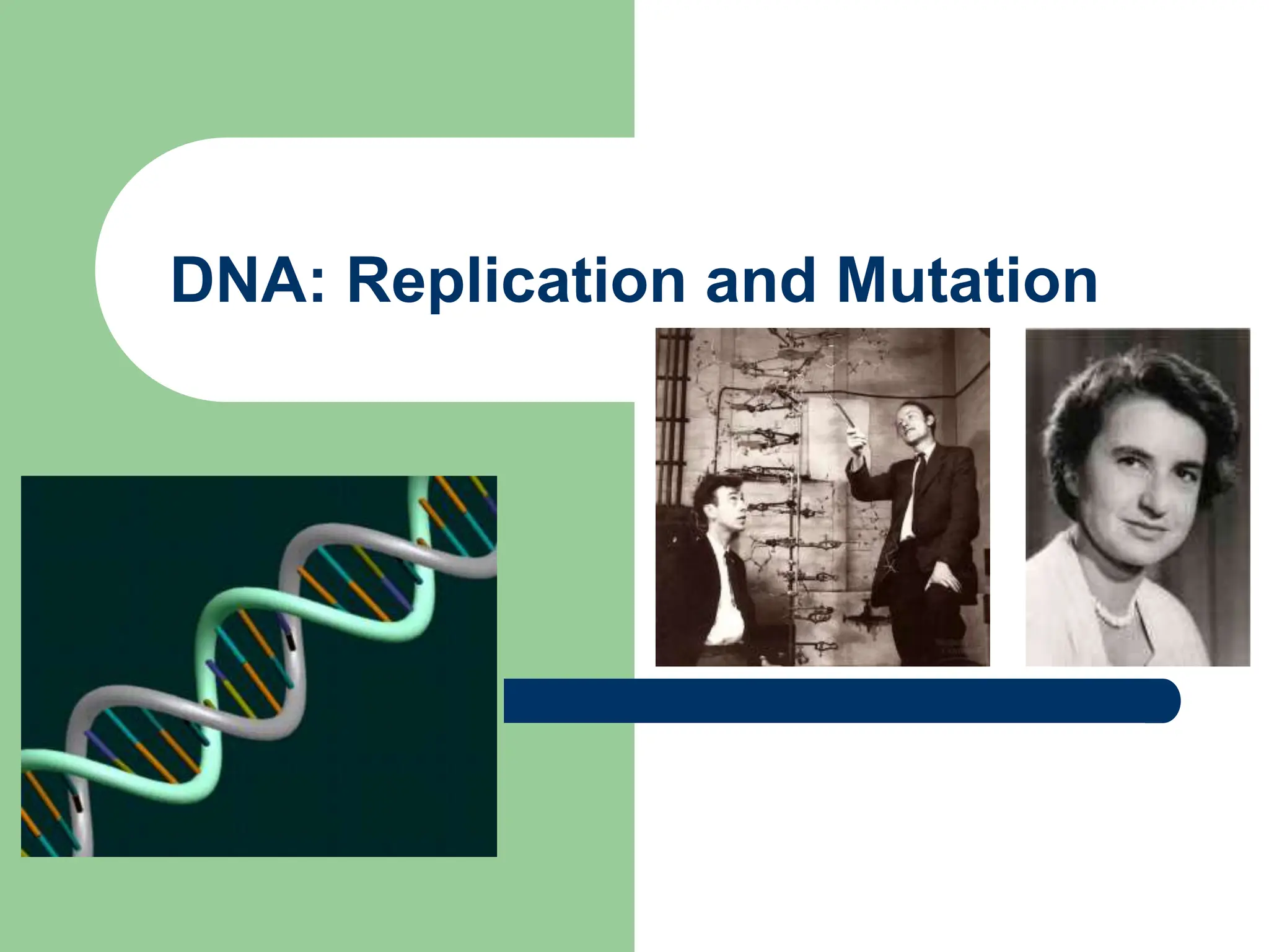 DNA and RNA: The Comparison of DNA and RNA. | PPT