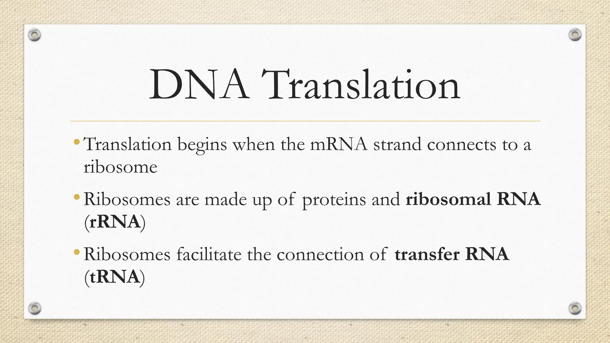 DNA and Protein Synthesis (Transcription and Translation) | PDF ...