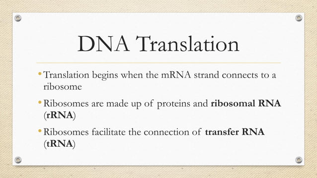 DNA and Protein Synthesis (Transcription and Translation) | PDF | Programming Languages | Computing