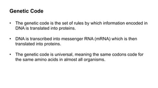 Note on DNA,Introduction to DNA ,feature of DNA | PPT