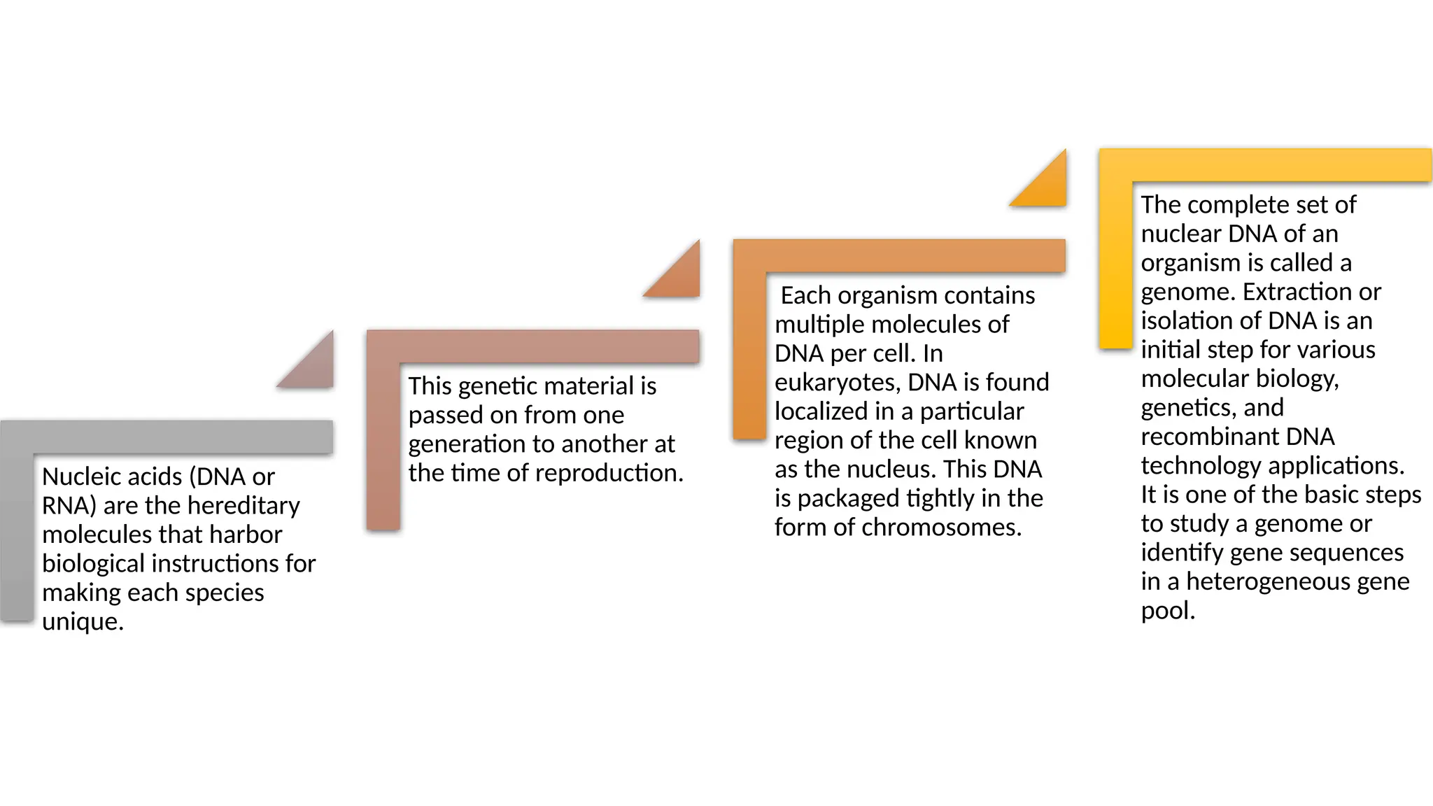 Different techniques and Methods of DNA and RNA Isolation.pptx