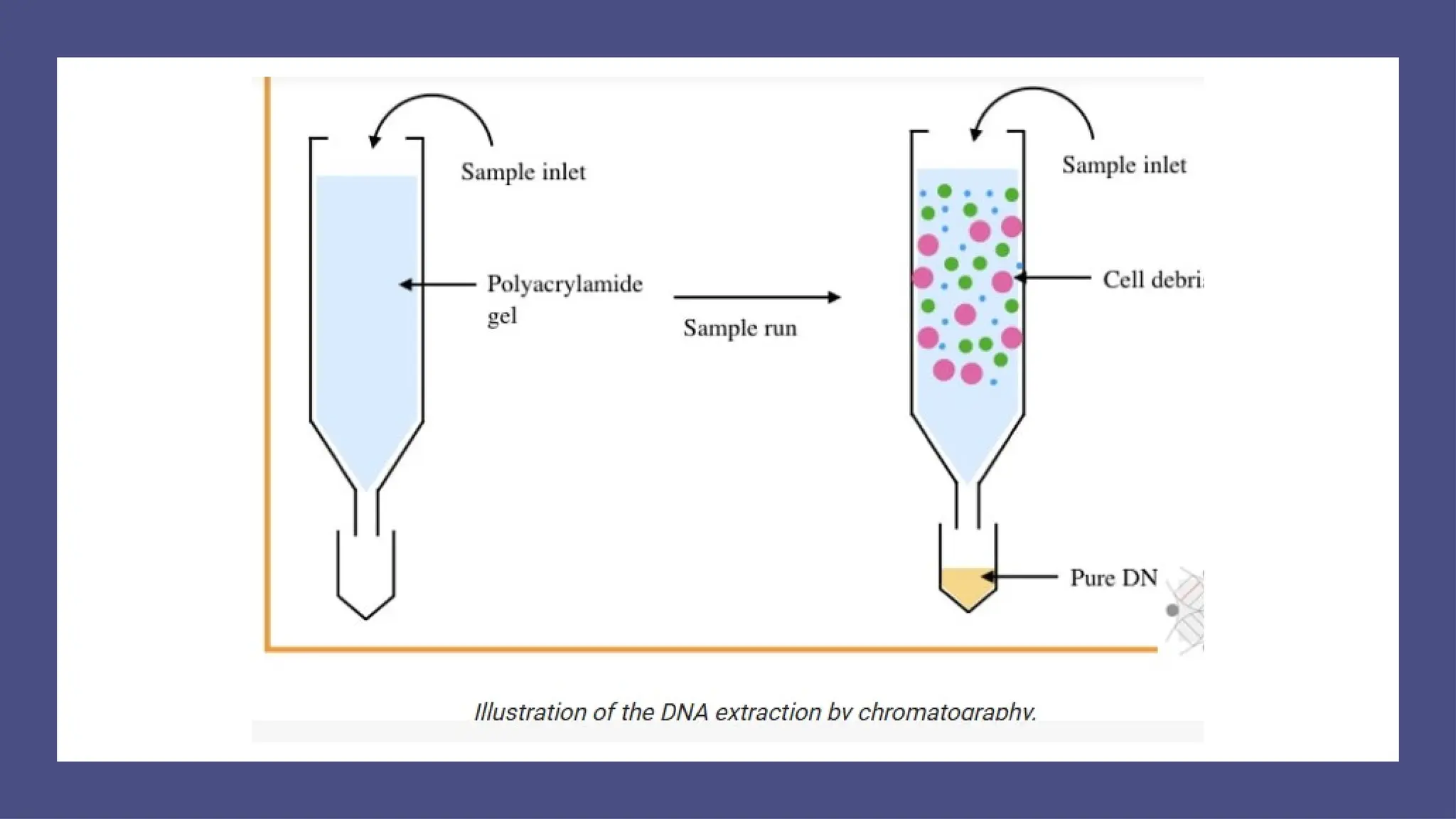 Different techniques and Methods of DNA and RNA Isolation.pptx