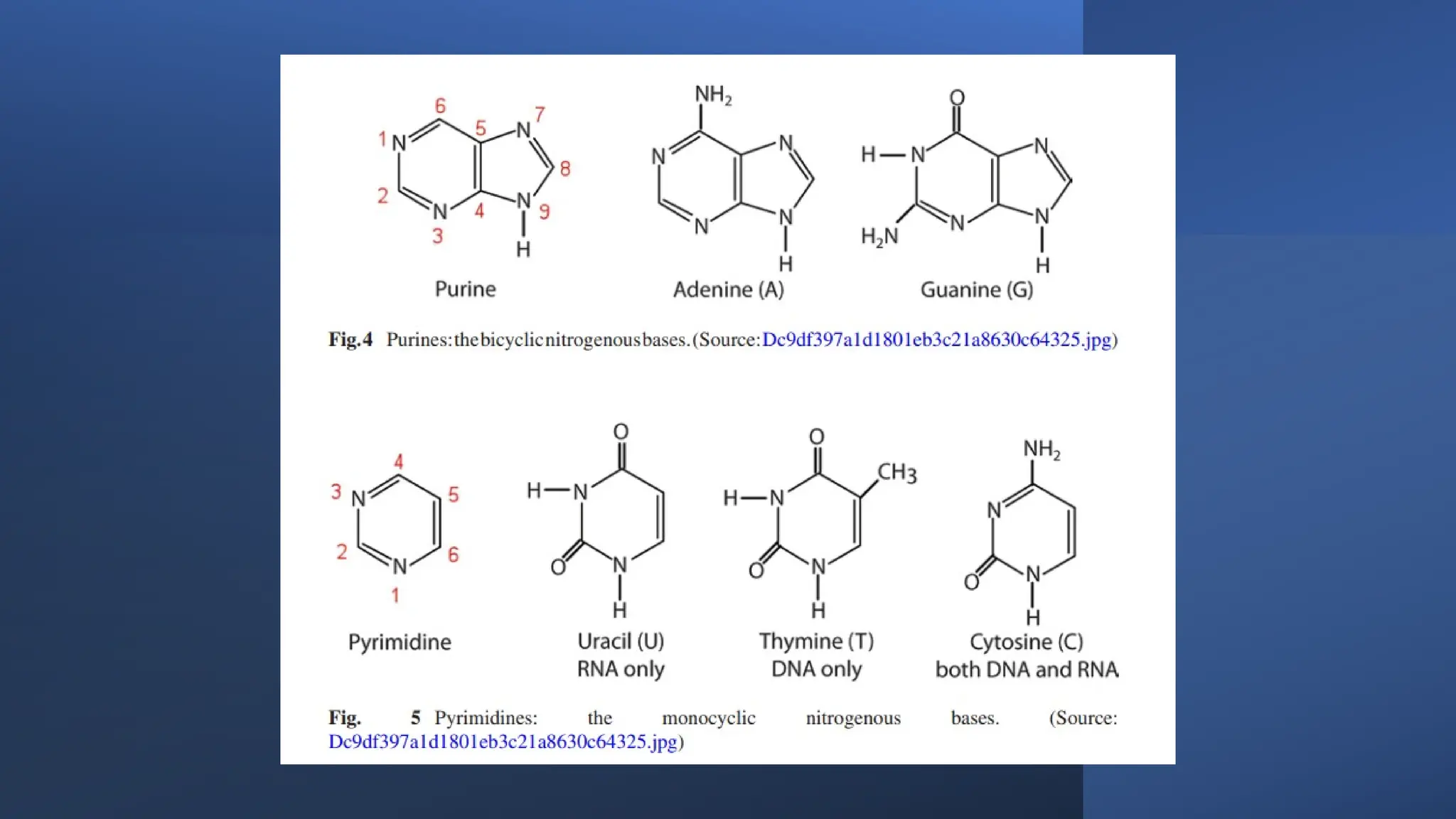 Different techniques and Methods of DNA and RNA Isolation.pptx