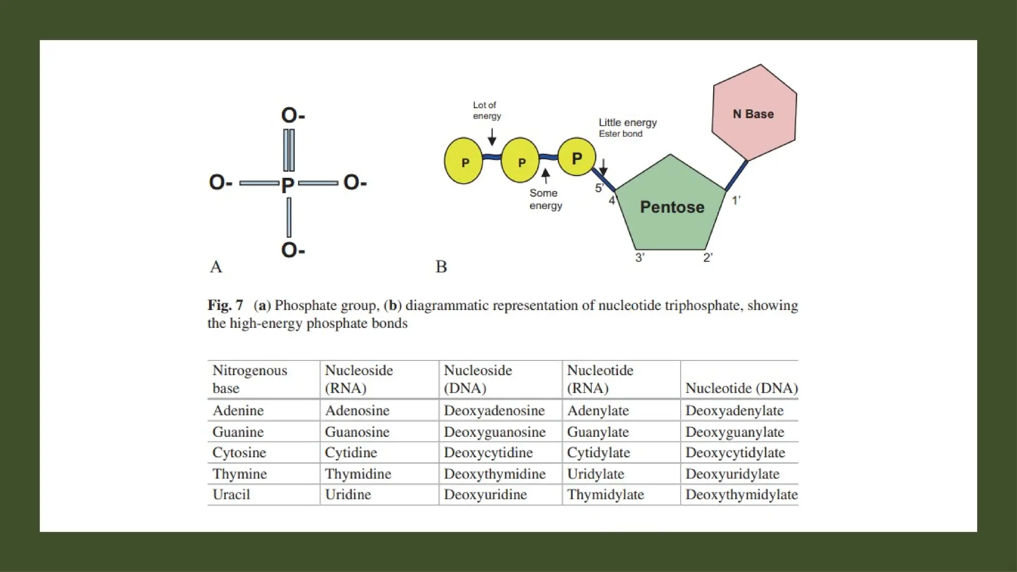 Different techniques and Methods of DNA and RNA Isolation.pptx