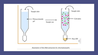 Different techniques and Methods of DNA and RNA Isolation.pptx