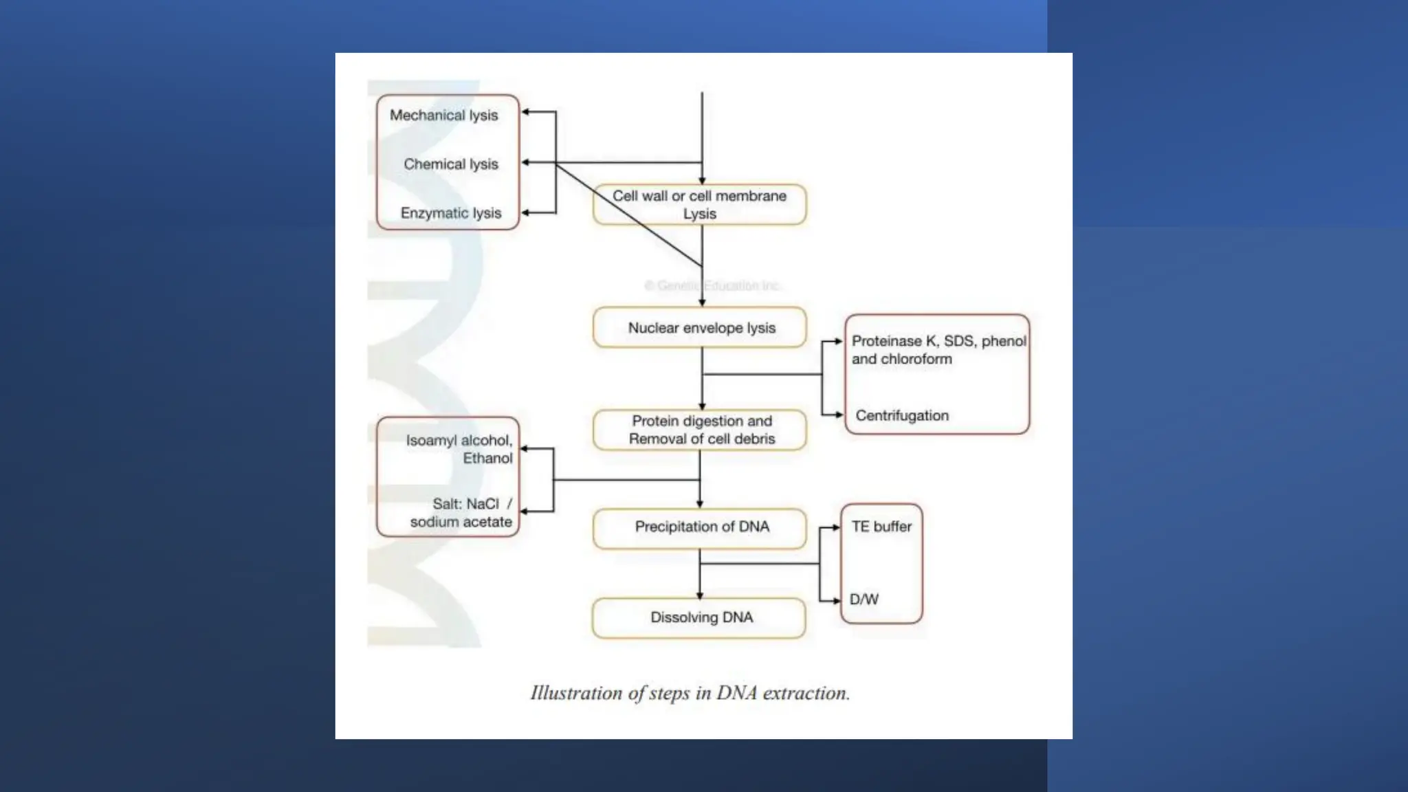 Different techniques and Methods of DNA and RNA Isolation.pdf