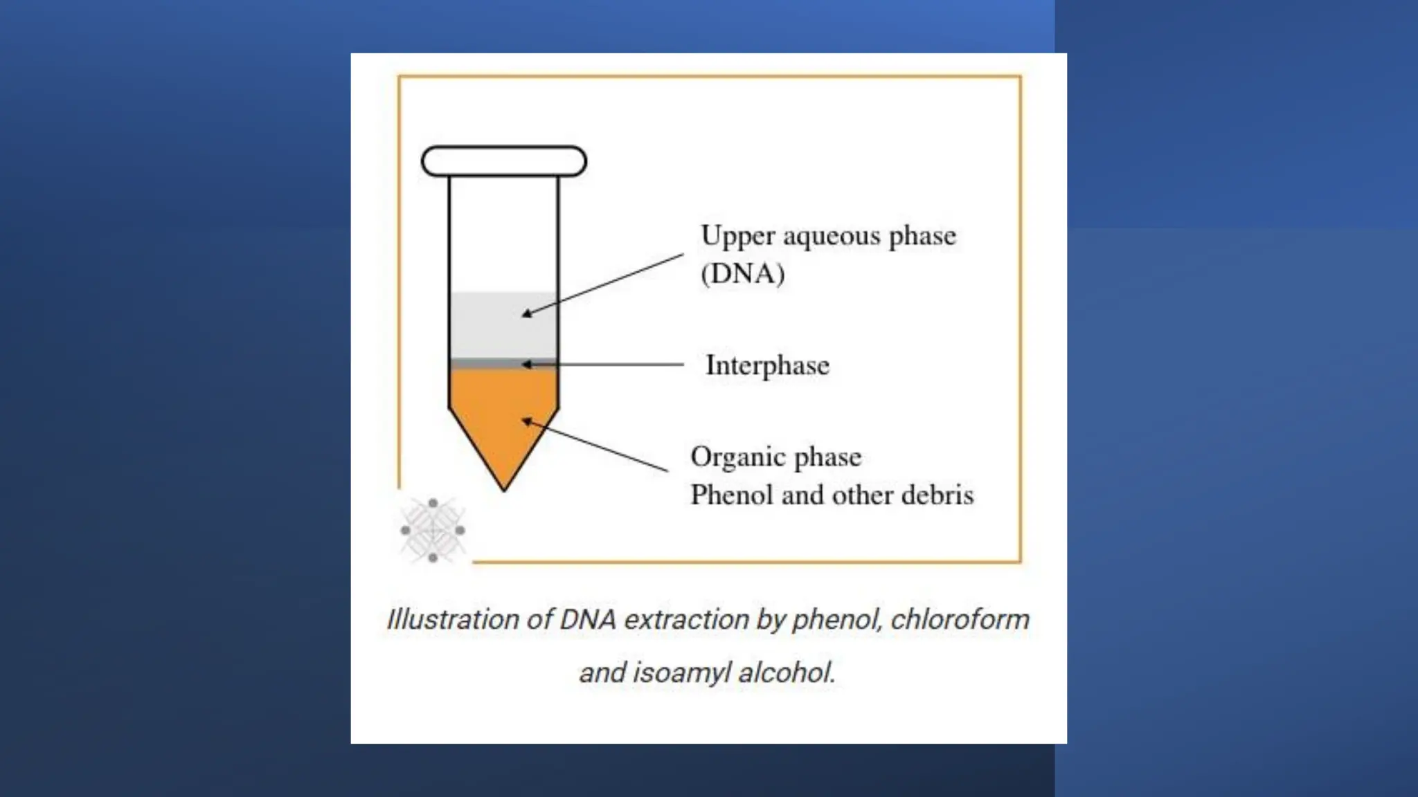 Different techniques and Methods of DNA and RNA Isolation.pdf