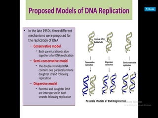 DNA replication process in Cell cycle of | PPTX