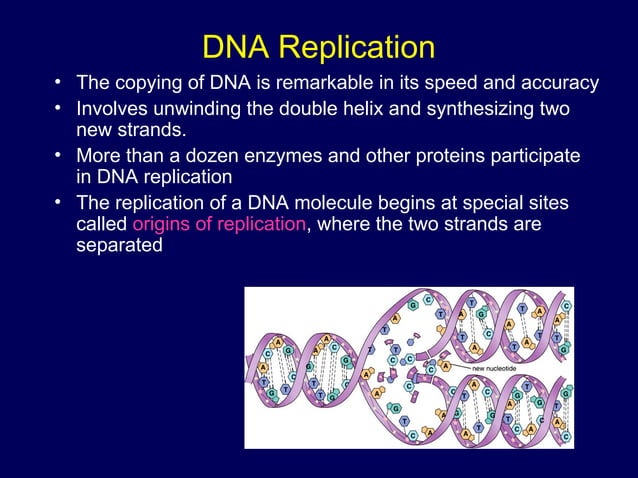 DNA its chemical Structure and basic concepts of | PPT