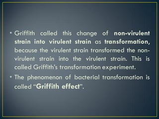 Different from of DNA. Fundamental of biomolecules | PDF | Chemistry ...