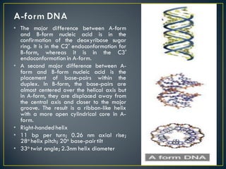 Different from of DNA. Fundamental of biomolecules | PDF | Chemistry ...