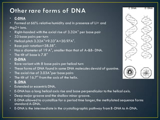 Different from of DNA. Fundamental of biomolecules | PDF | Chemistry ...