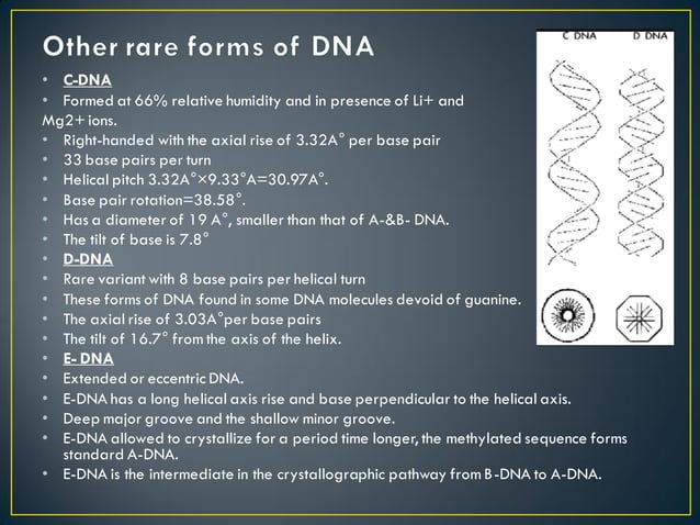 Different from of DNA. Fundamental of biomolecules | PDF | Chemistry ...
