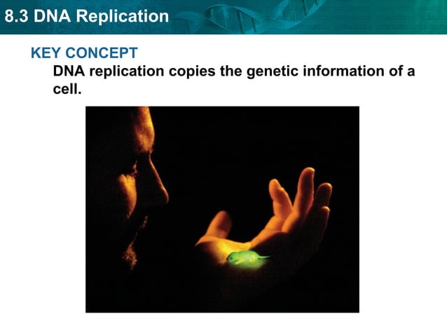 dna introduction for education for students.ppt
