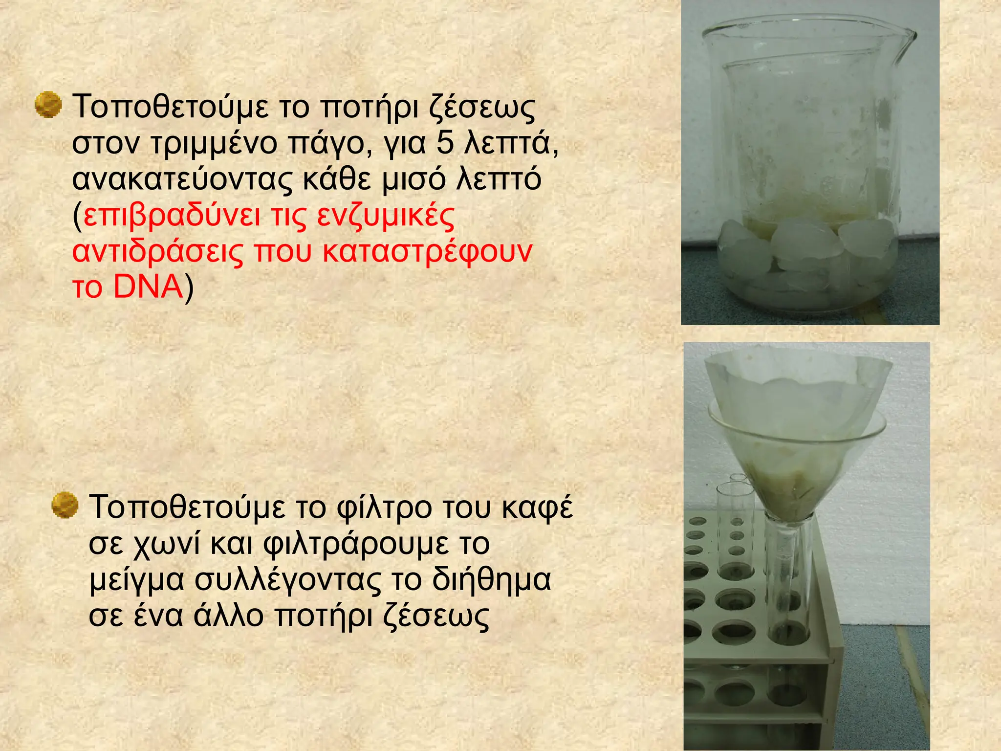 apomonosi dna apo mpanana peirama biologias.ppt