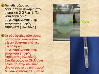 apomonosi dna apo mpanana peirama biologias.ppt