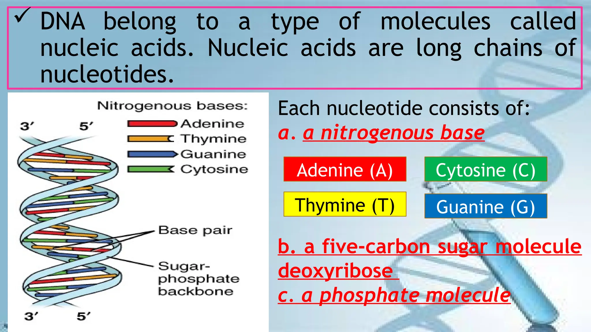DNA - POWERPOINT PRESENTATION SCIENCE 10 | PPTX