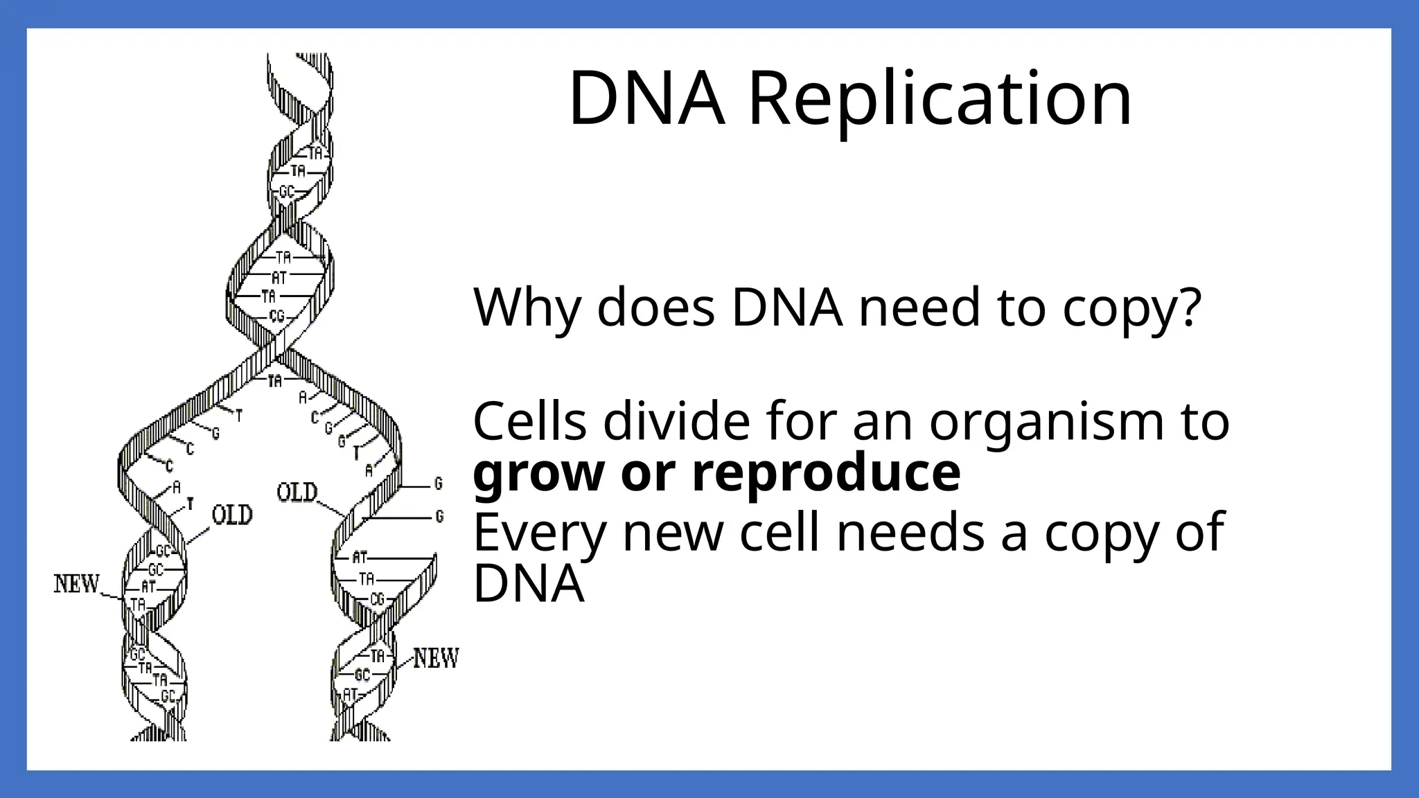 DNA.RNA-structure.-Replication.pptxhejsh | PPTX