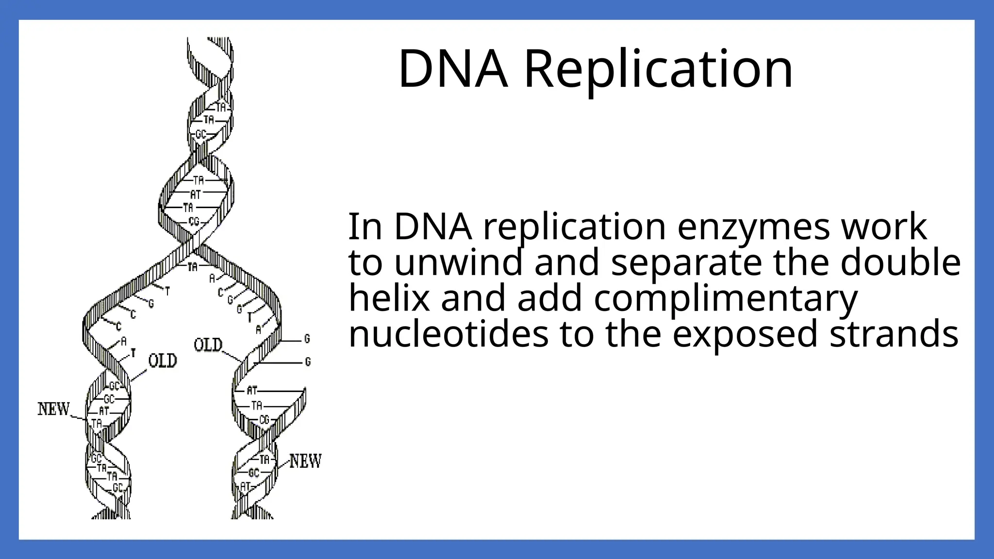 DNA.RNA-structure.-Replication.pptxhejsh | PPTX