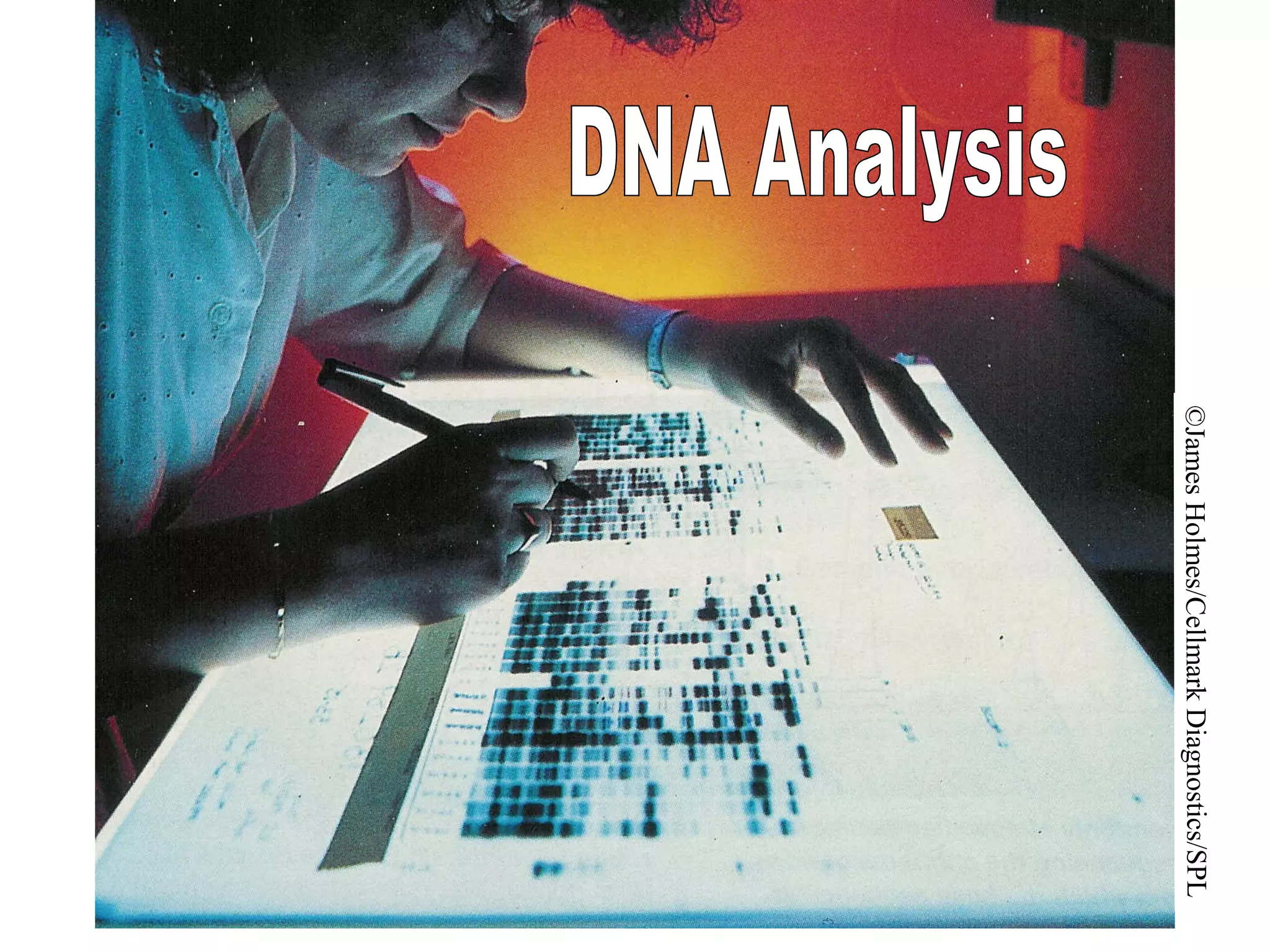 Biology DNA Analysis | PPT