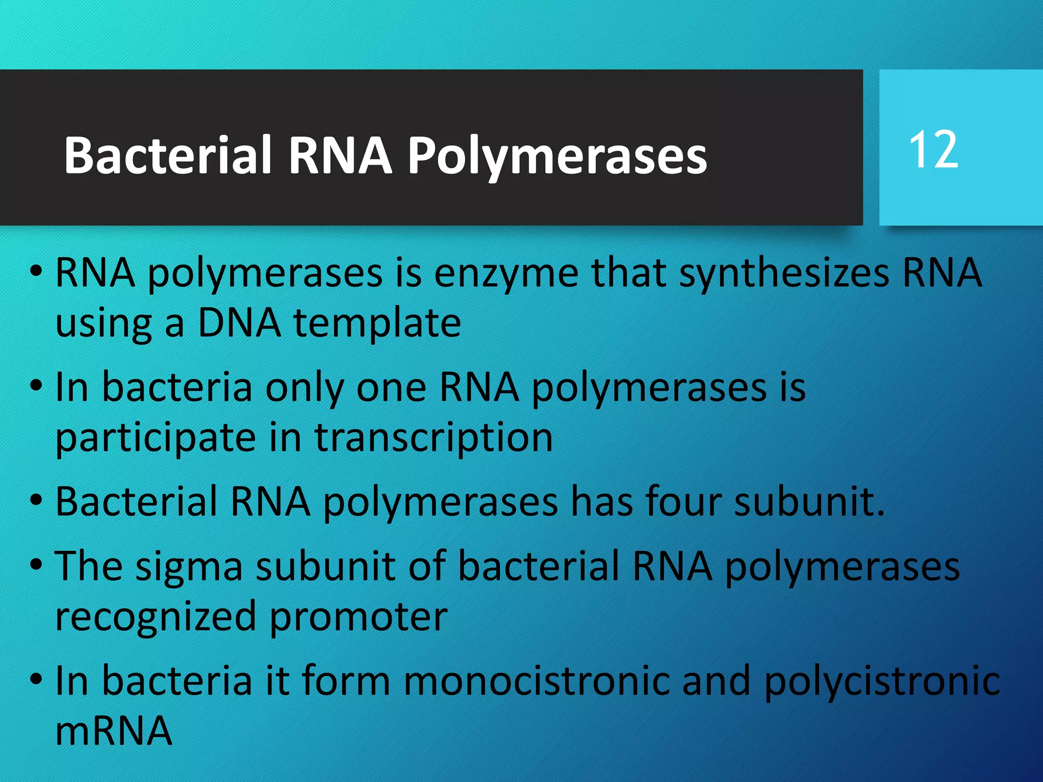 dna-and-rna-polymerases-160213130043 (1).pdf | Free Download