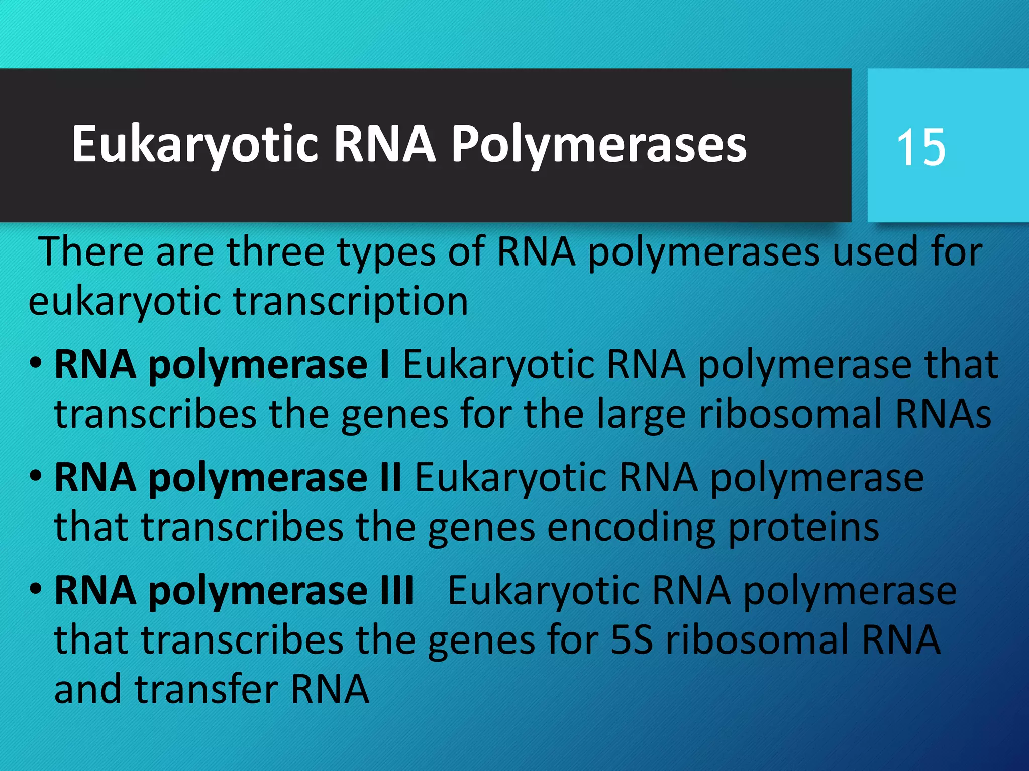 dna-and-rna-polymerases-160213130043 (1).pdf