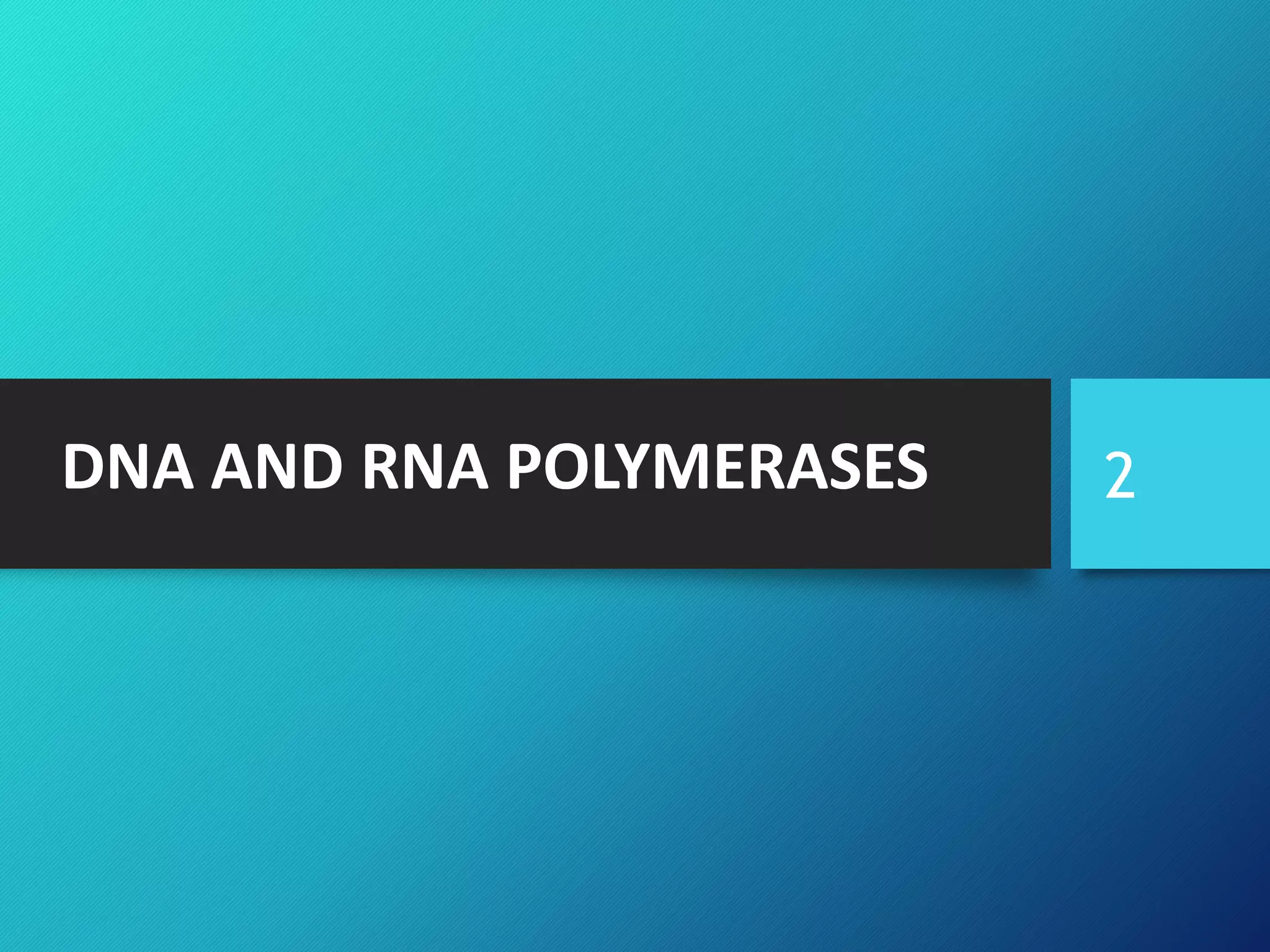 dna-and-rna-polymerases-160213130043 (1).pdf