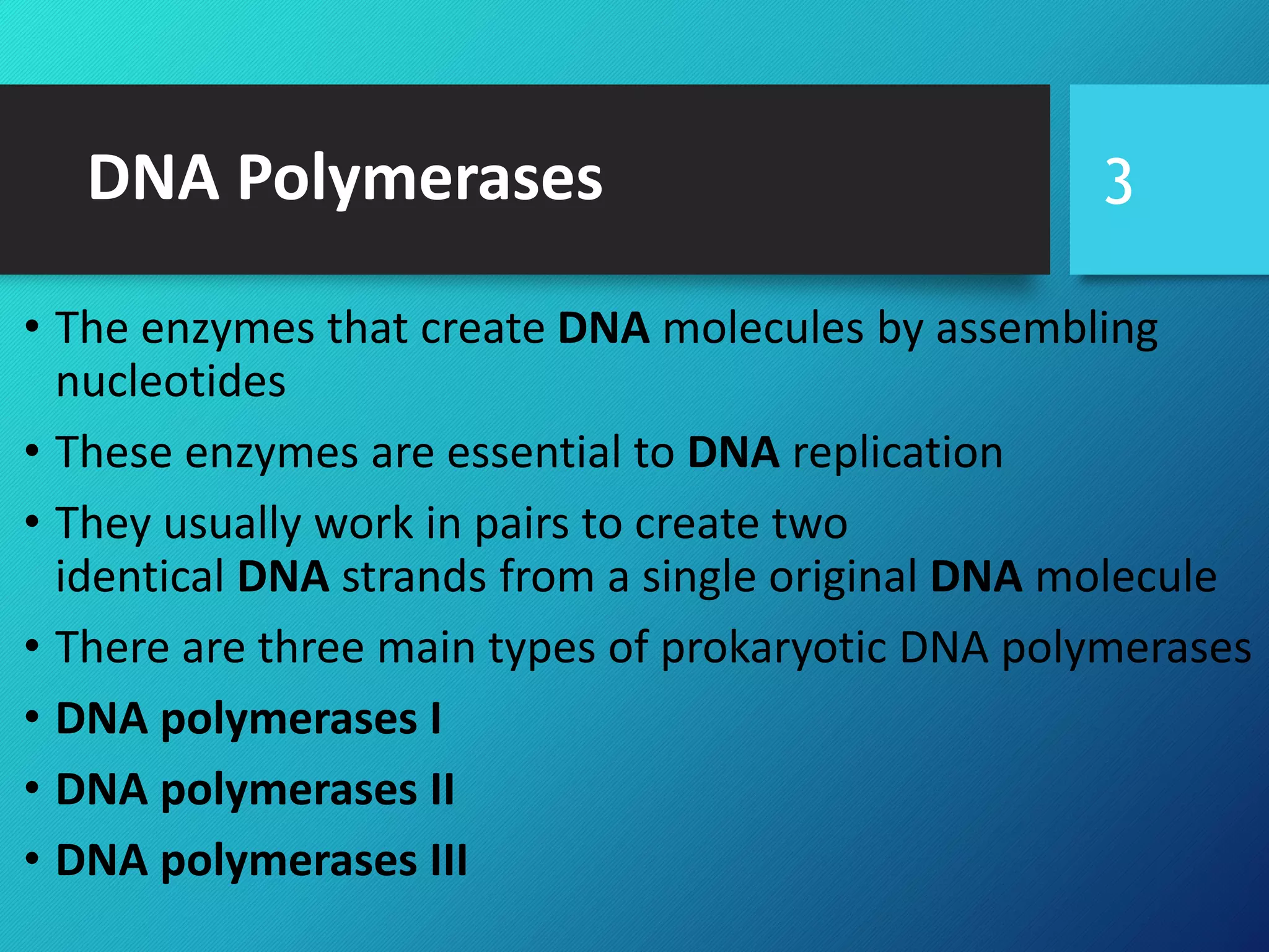 dna-and-rna-polymerases-160213130043 (1).pdf