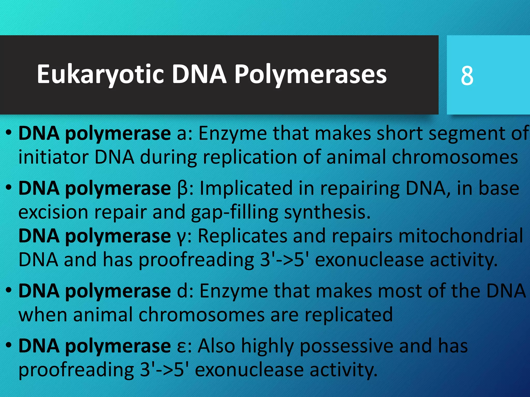 dna-and-rna-polymerases-160213130043 (1).pdf