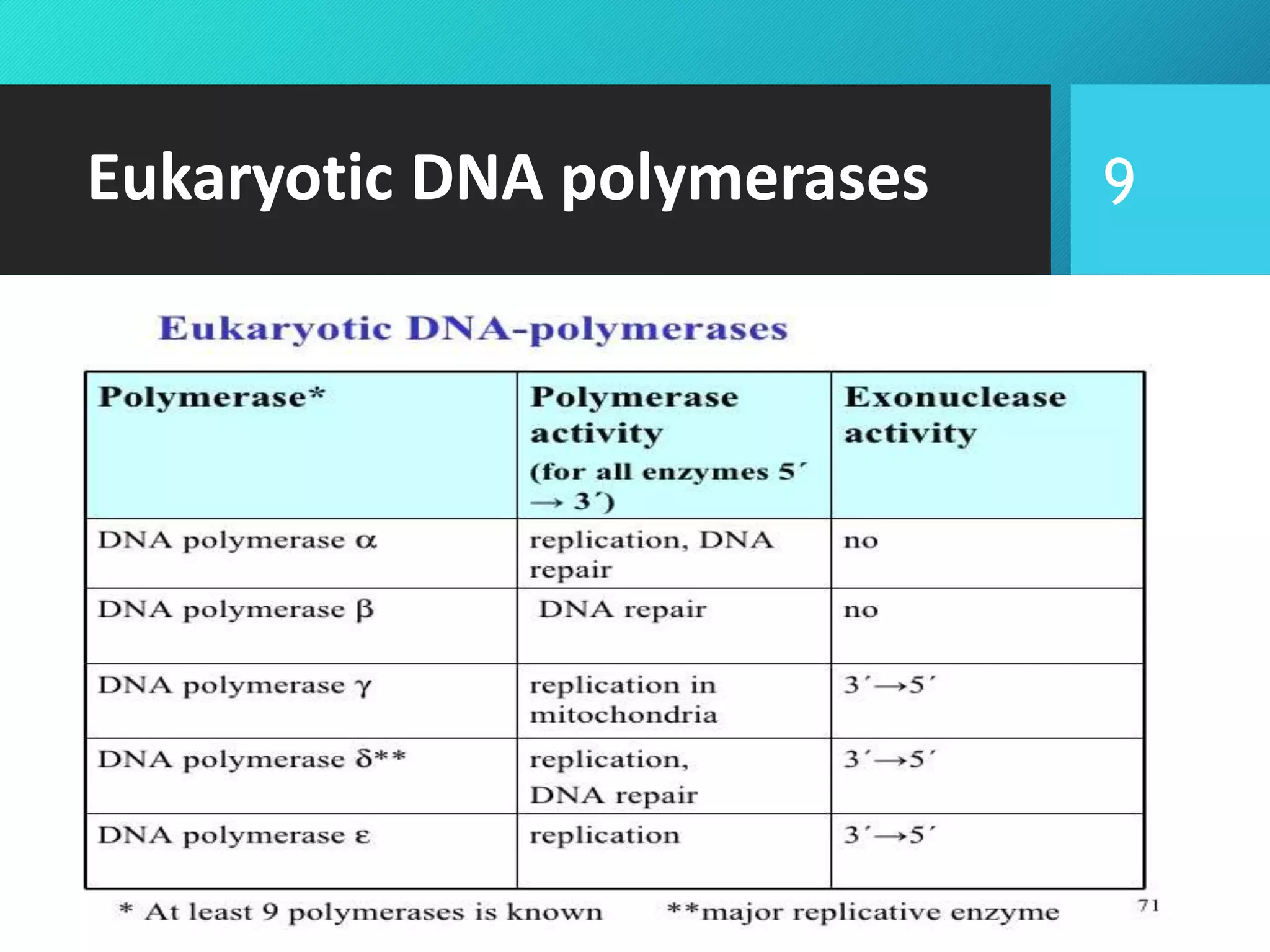 dna-and-rna-polymerases-160213130043 (1).pdf