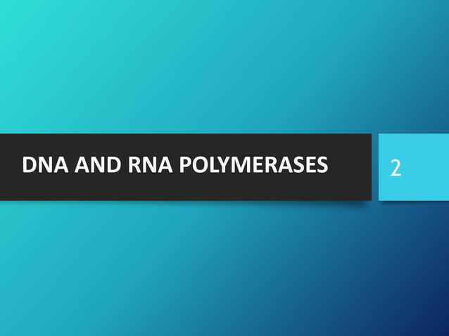 dna-and-rna-polymerases-160213130043 (1).pdf
