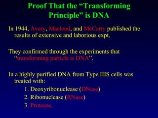 Dna an overview | PPT
