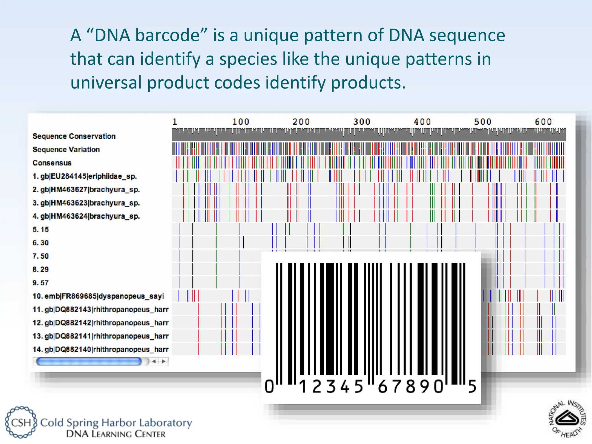 DNA-Barcoding hgxzhdhzgcscggggggggg.pptx
