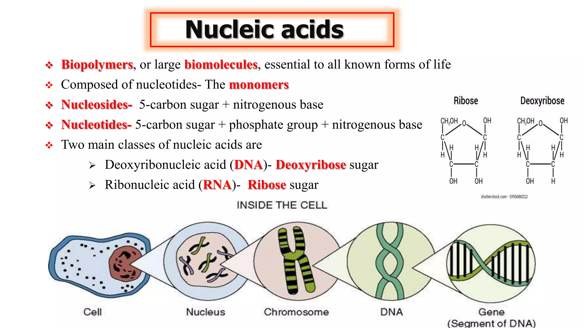 Dna Basics On Isolation Quantification Storage Pptx Biological Sciences Science