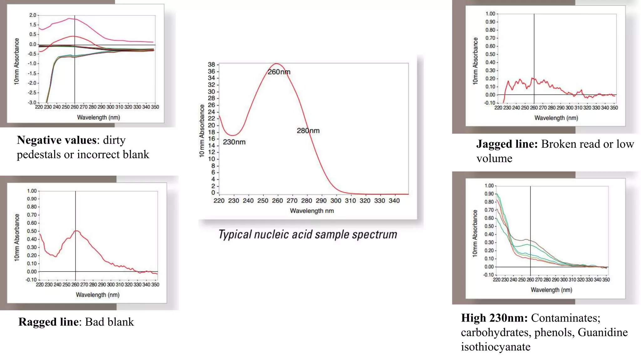 Dna Basics On Isolation Quantification Storage Pptx Biological Sciences Science