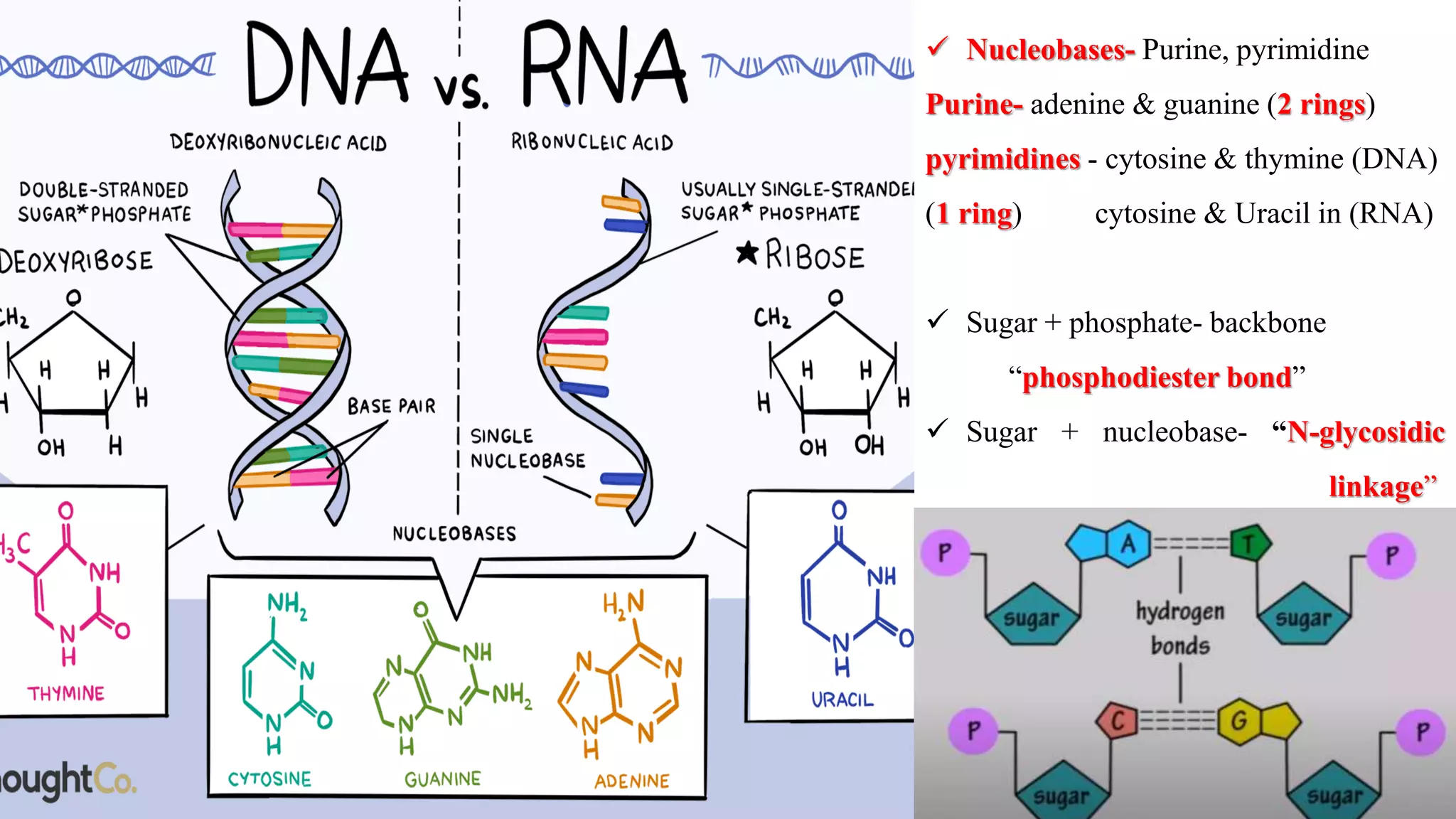 Dna Basics On Isolation Quantification Storage Pptx Biological Sciences Science