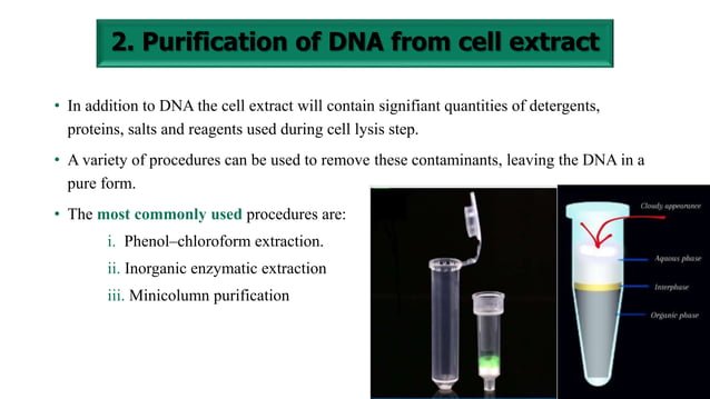 Dna Basics On Isolation Quantification Storage Pptx Biological Sciences Science
