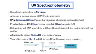 DNA- Basics on isolation, quantification, storage | PPTX