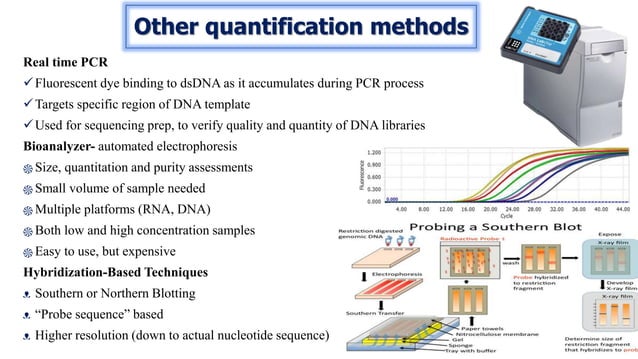 Dna Basics On Isolation Quantification Storage Pptx Biological Sciences Science