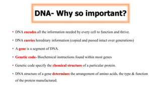DNA- Basics on isolation, quantification, storage | PPTX