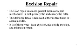 Dna damage repair | PPT
