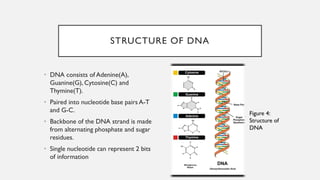 dna-digital-data-storage_compress.pdf
