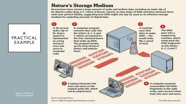 dna-digital-data-storage_compress.pdf