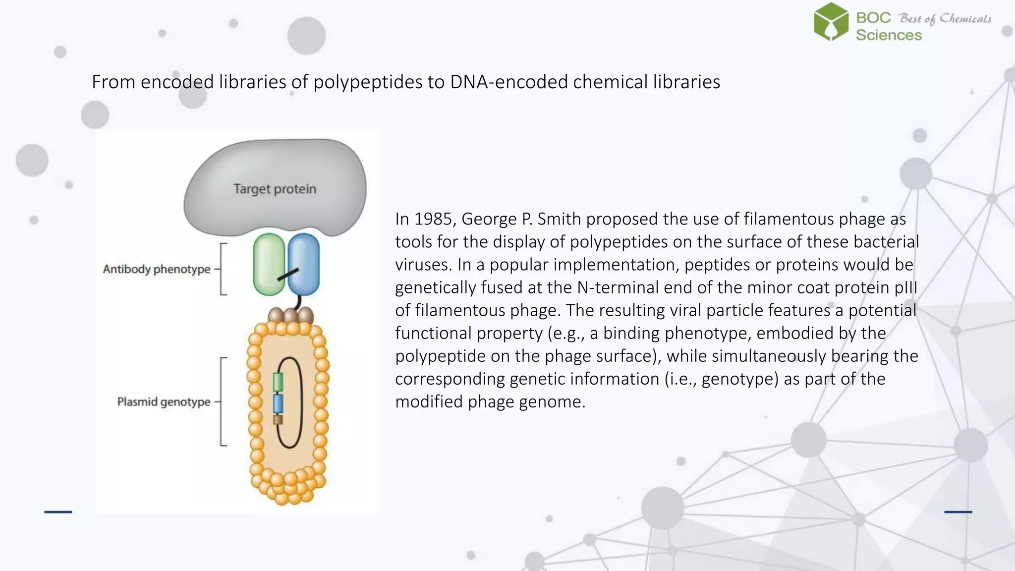 Dna encoded library technology-boc sciences | PPTX