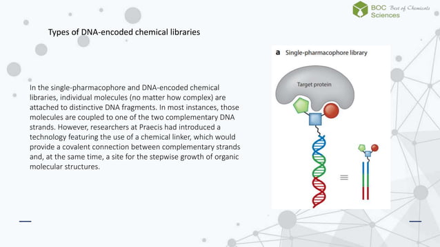 Dna encoded library technology-boc sciences | PPTX | Genetics | Science
