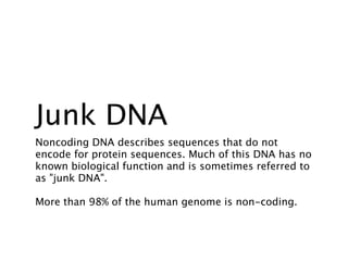 DNA Encoding Protocol | KEY