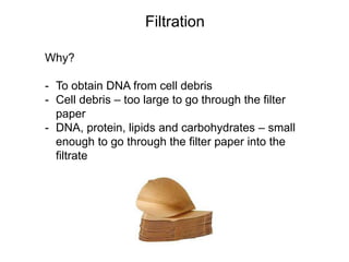 DNA-extraction-2.pptx