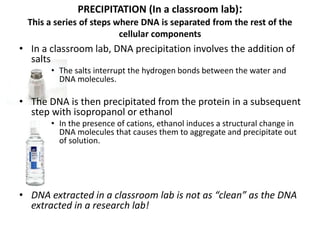 DNA-extraction-2.pptx