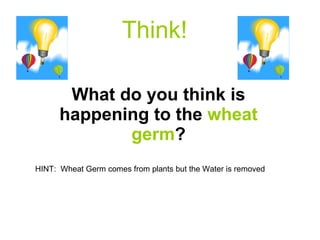 Dna Extraction From Wheat Germ | PPT